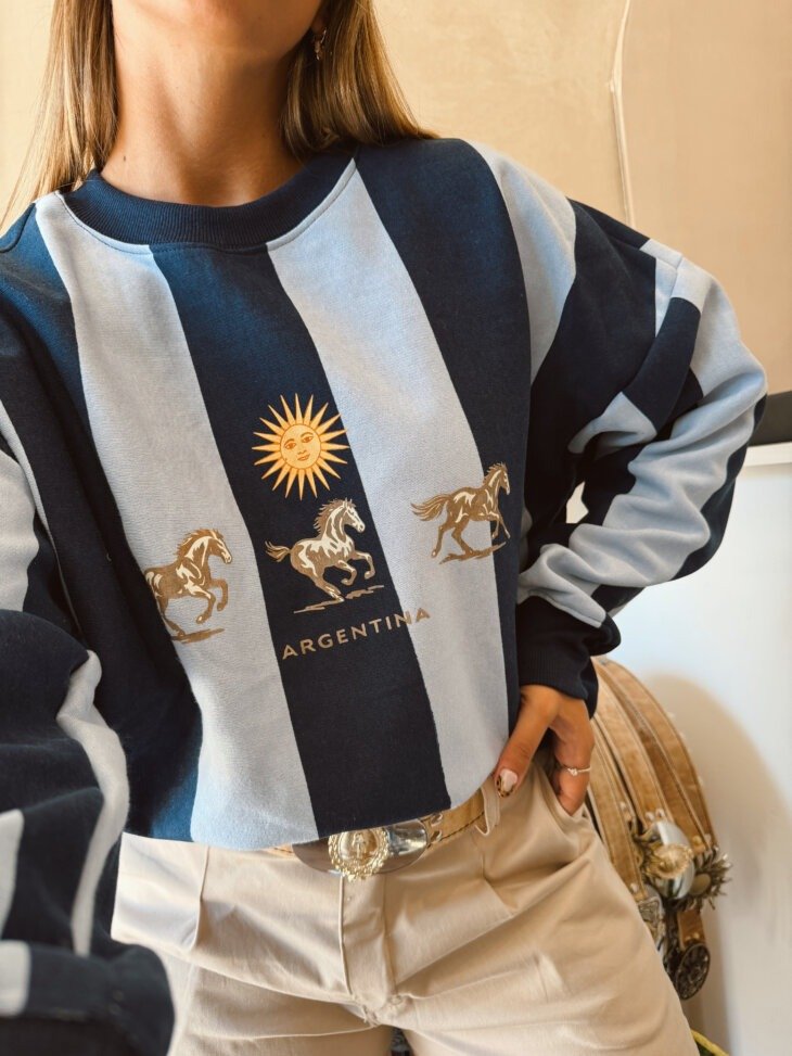 BUZO CABALLOS Y SOL AZUL Y CELESTE - Rincon Gaucho